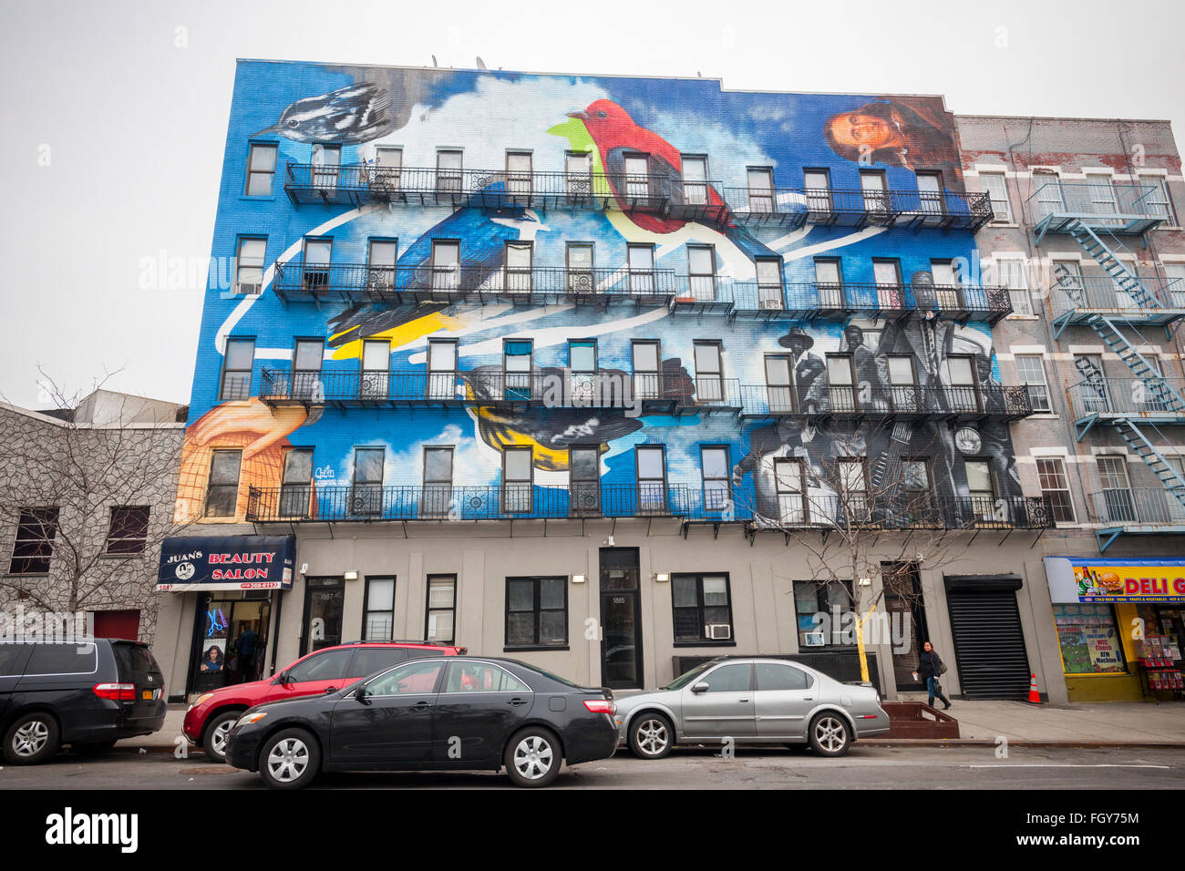 A mural by Gaia of showing multiple endangered birds as well as James ...