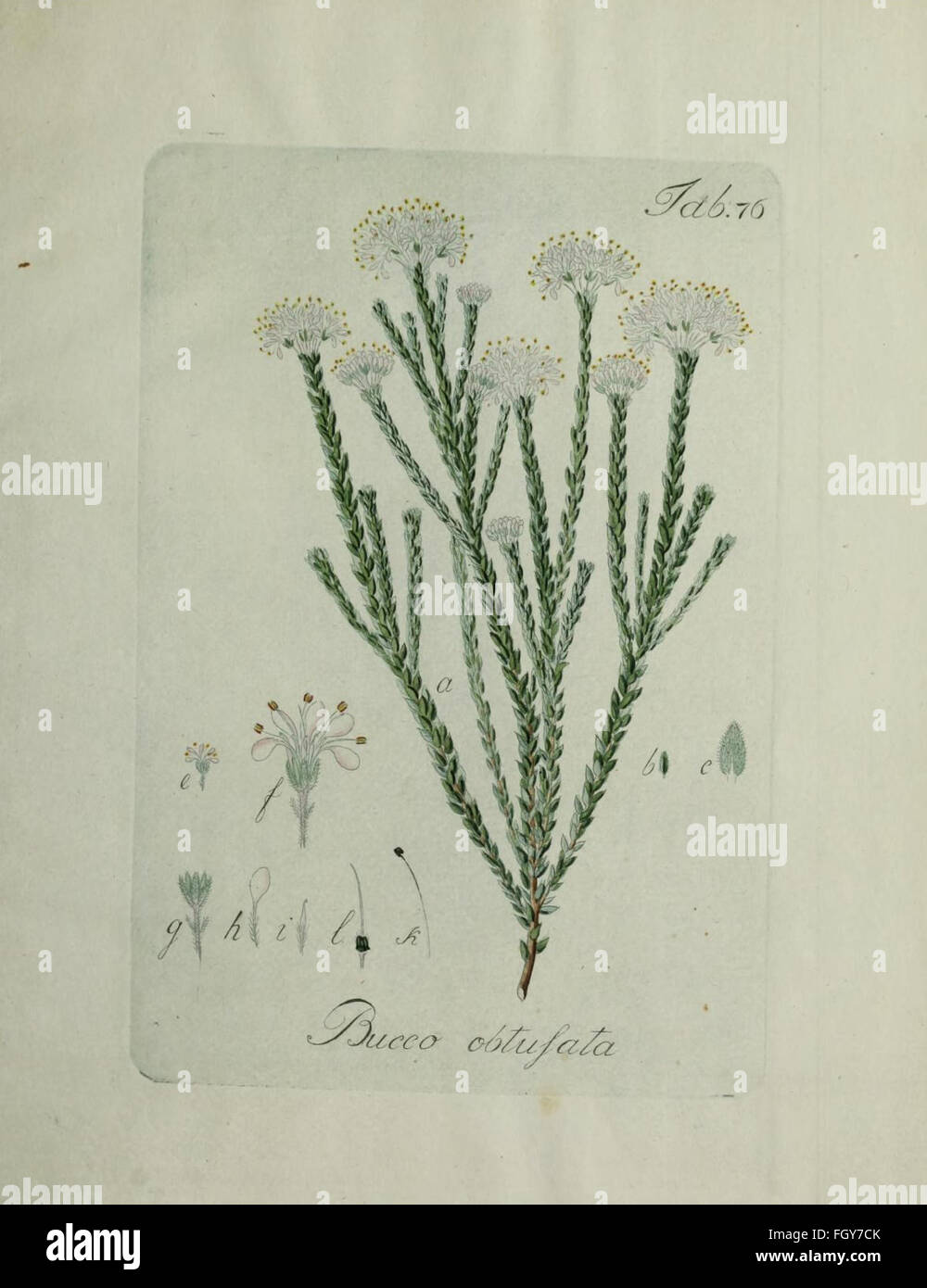 A botanical collection featuring both exotic and native plants, with ...