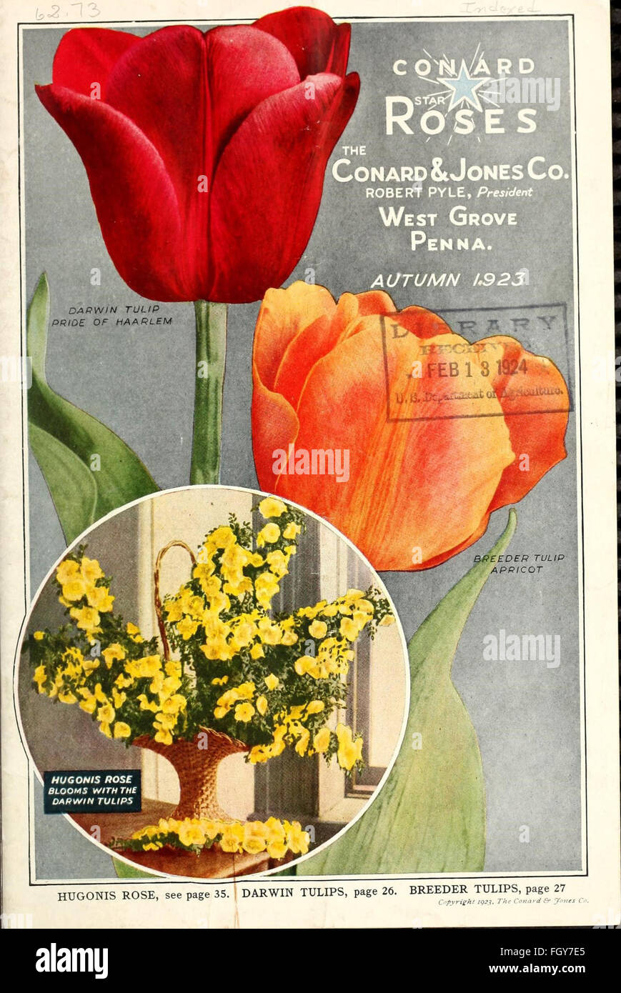 A guide or catalog on Conard Star Roses, focusing on their variety ...