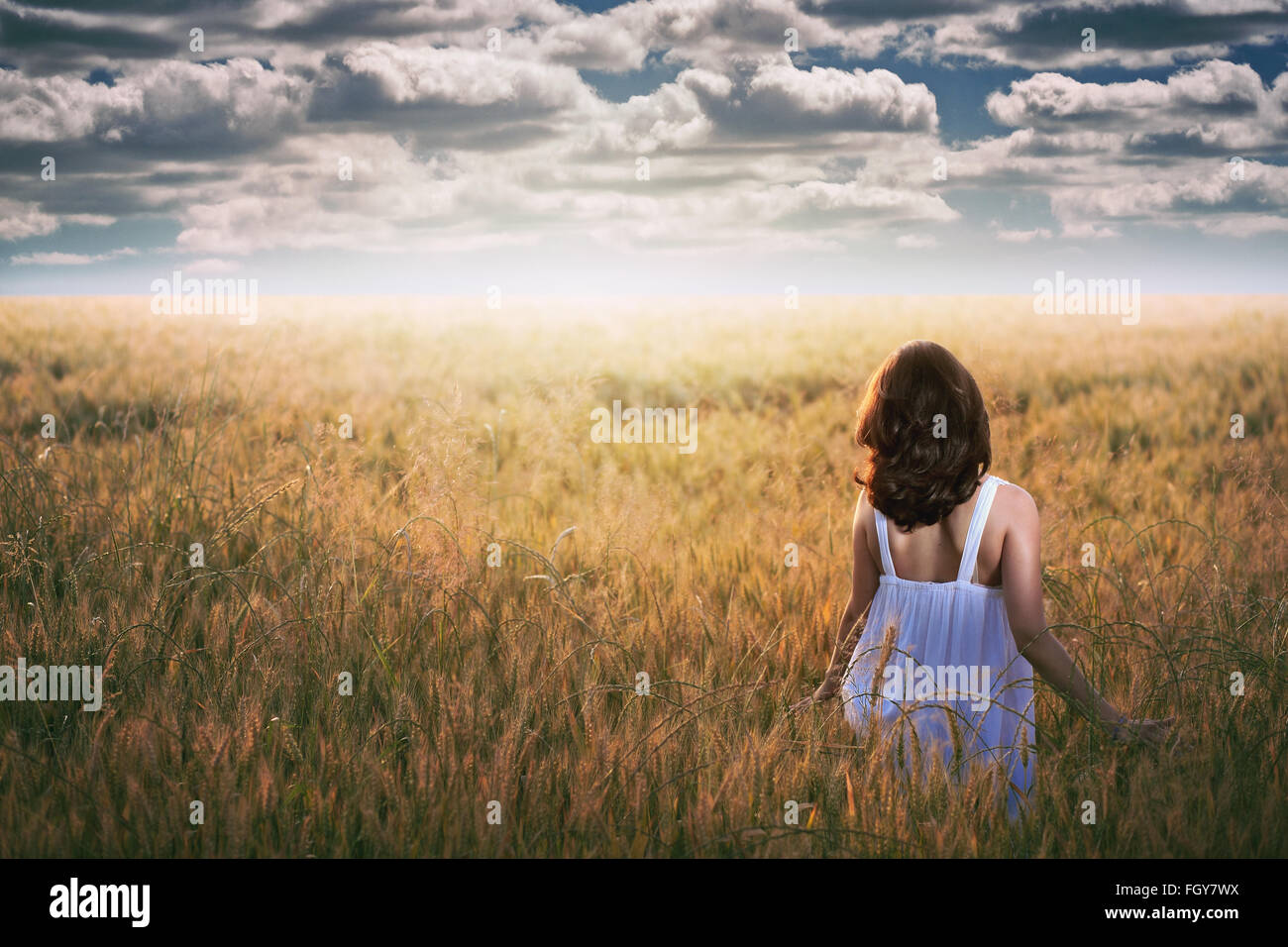Woman staring at a dramatic sky in a golden field . Sunset light Stock ...