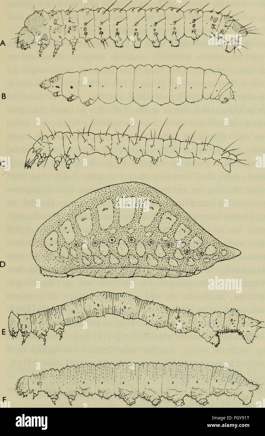 This 1907 illustrated guide details Denmark's fauna, including mammals ...
