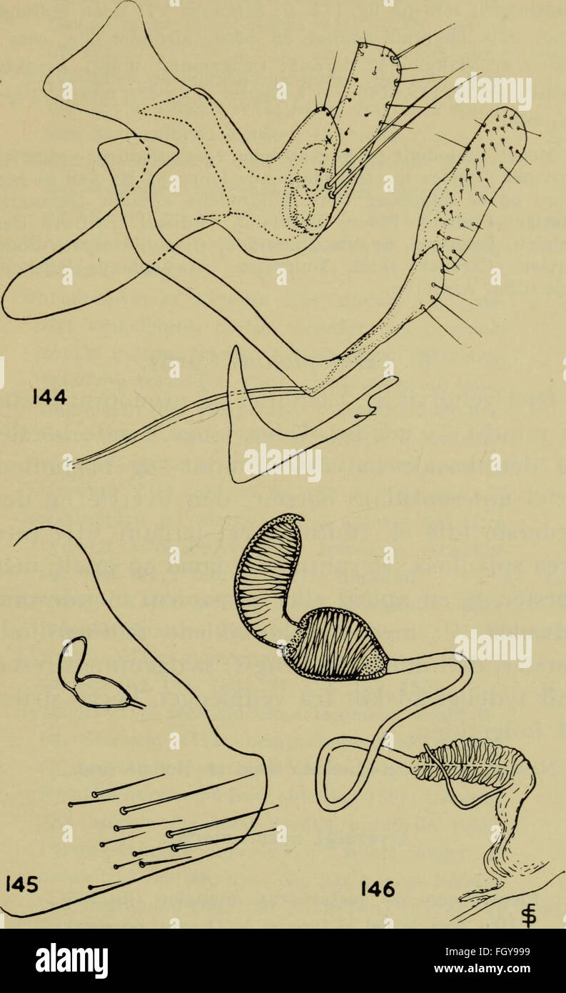 'Danmarks Fauna' (1907) is a detailed illustrated guide to the animal ...