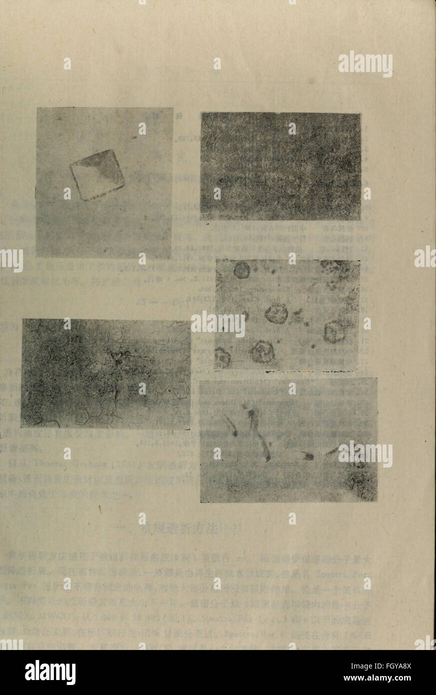 Dan publication in hi-res stock photography and images - Alamy