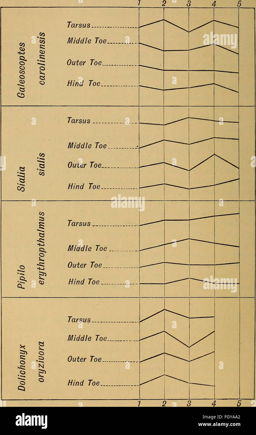 This 1897 work provides an in-depth exposition of Darwin's theory of ...