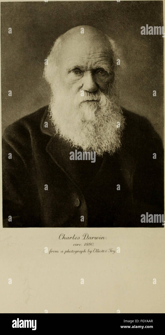 Charles darwin book illustration hi-res stock photography and images ...