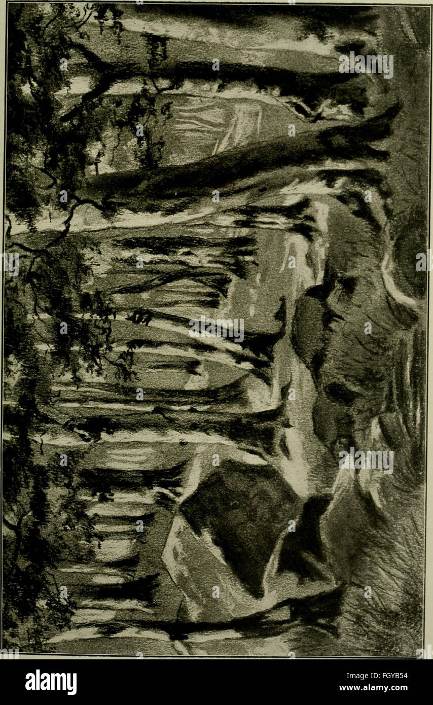 This 1906 work, ‘The Life of the Plant,’ explores the biological ...