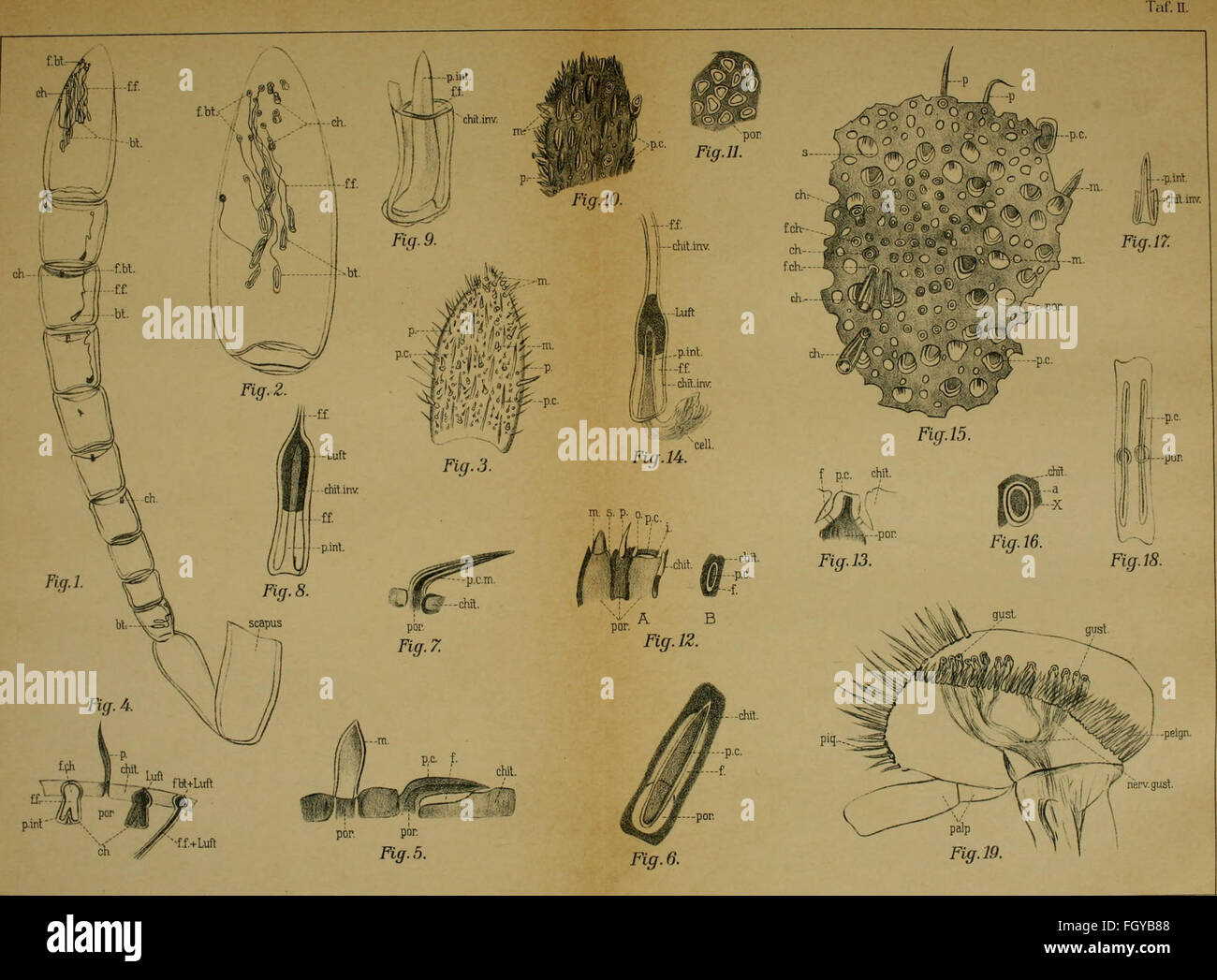 This work, published in 1910, explores the sensory experiences of ...