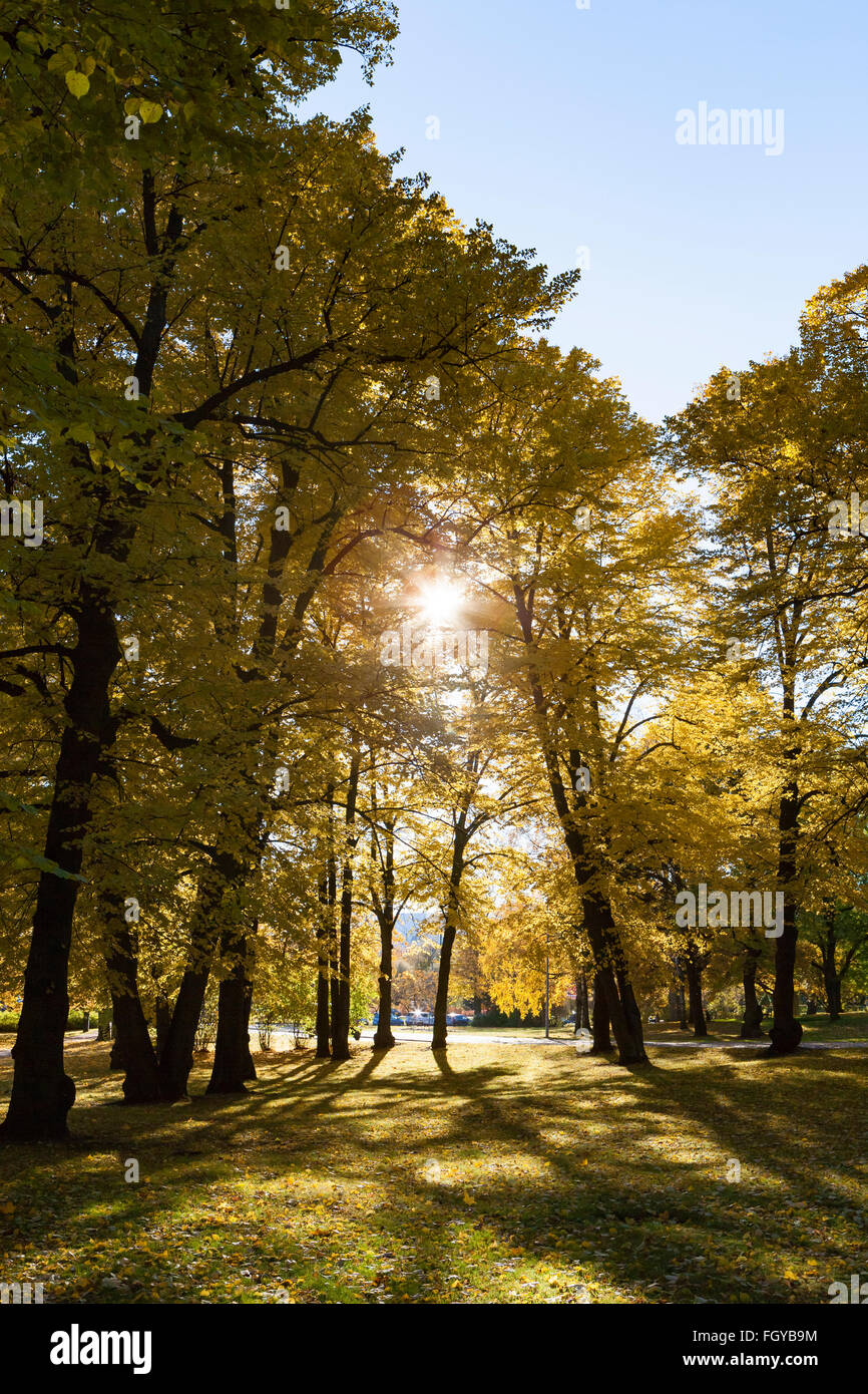 Fall in helsinki hi-res stock photography and images - Alamy
