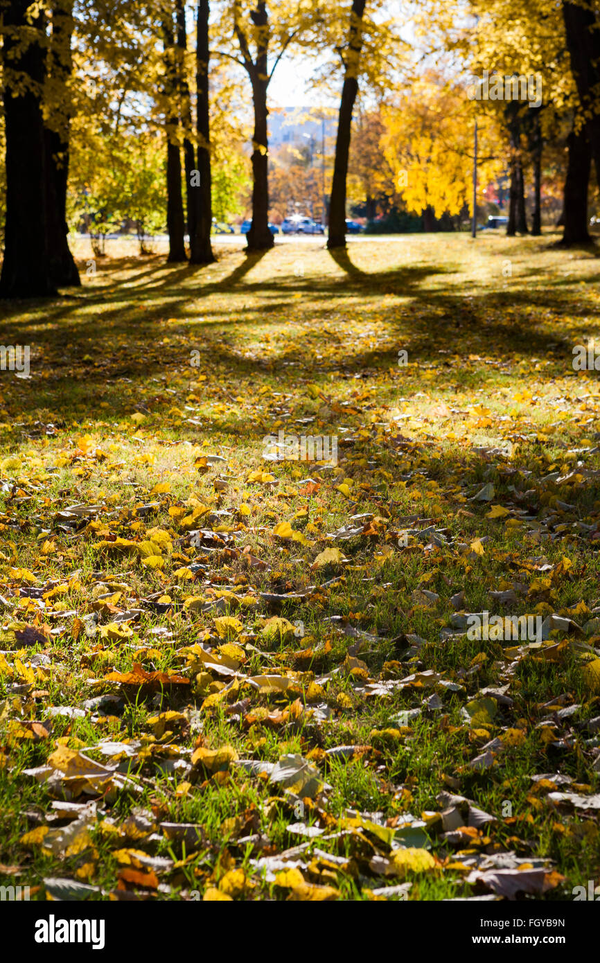 Autumn in Helsinki Stock Photo - Alamy