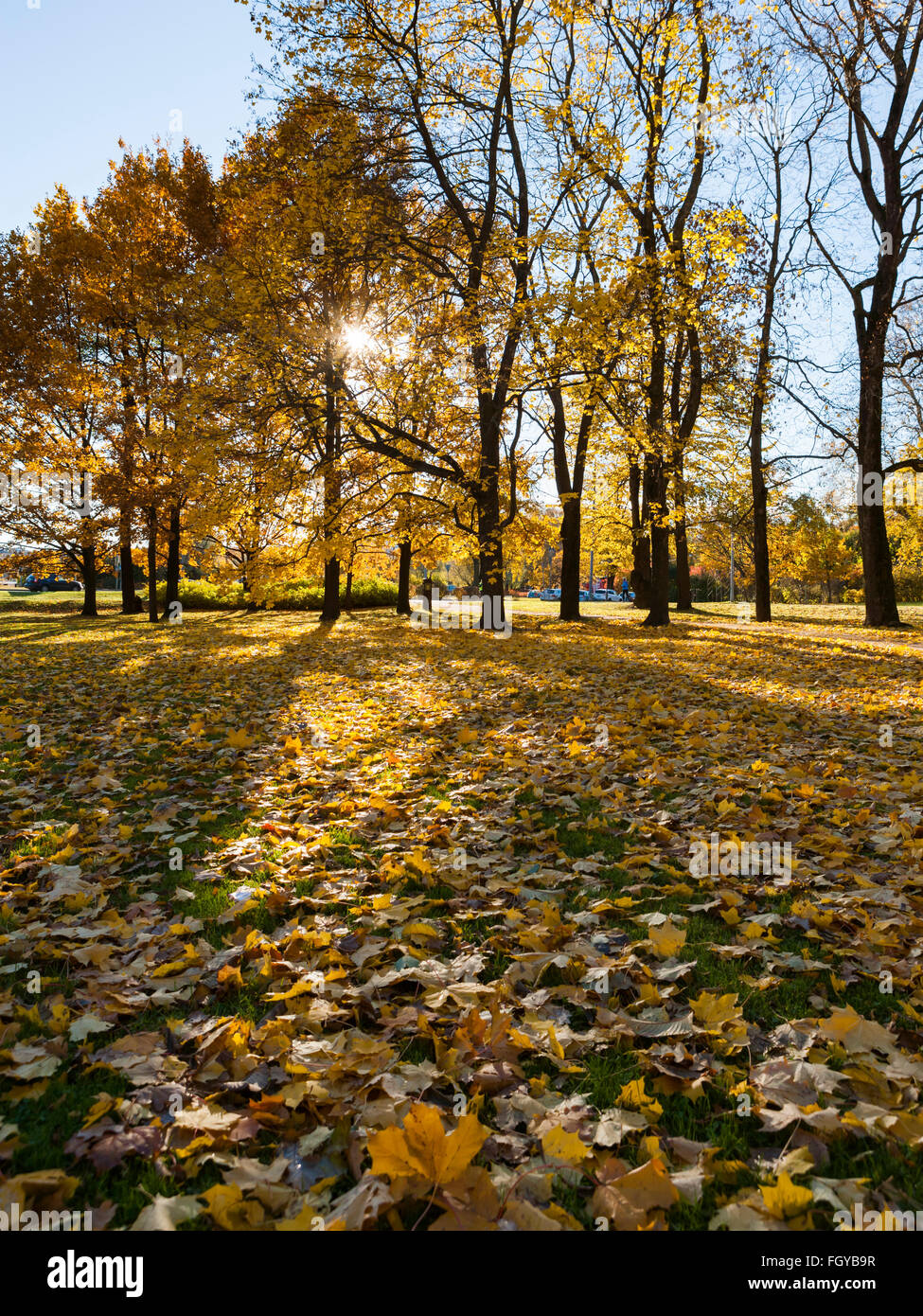 Fall in helsinki hi-res stock photography and images - Alamy