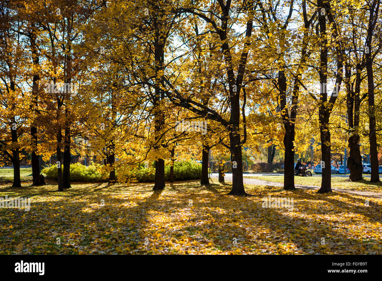 Autumn in Helsinki Stock Photo - Alamy