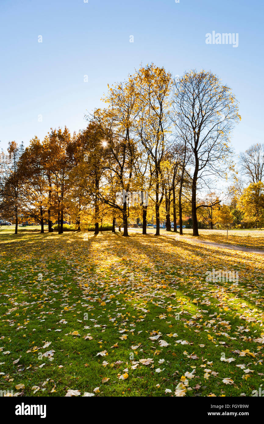 Autumn in Helsinki Stock Photo - Alamy