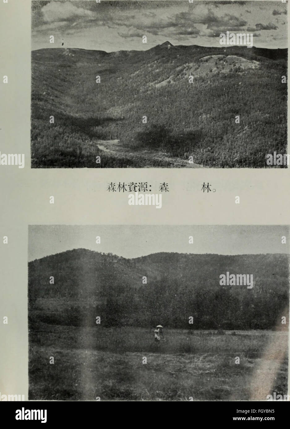 Da xing an ling sen lin zi yuan diao cha bao gao (1954 Stock Photo - Alamy