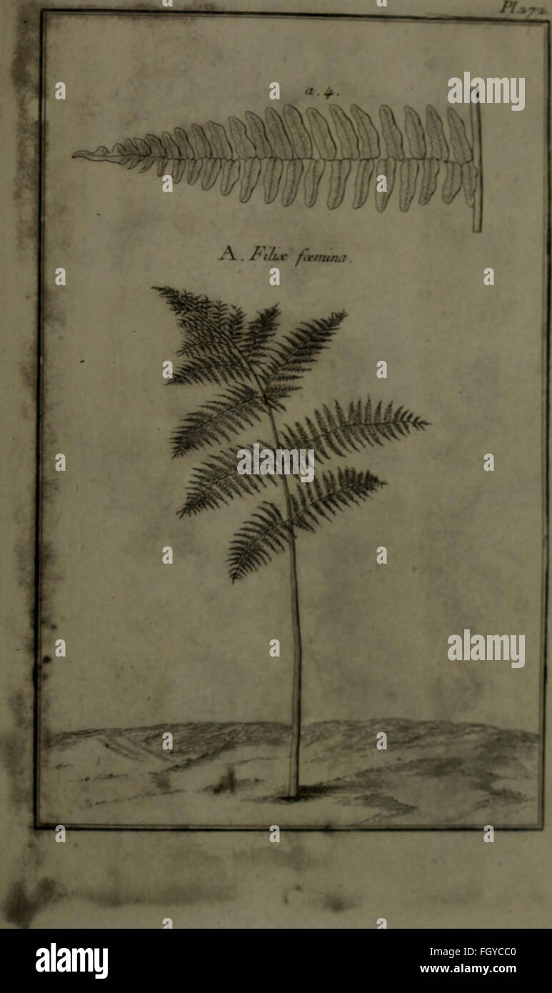 Trente sept hi-res stock photography and images - Alamy