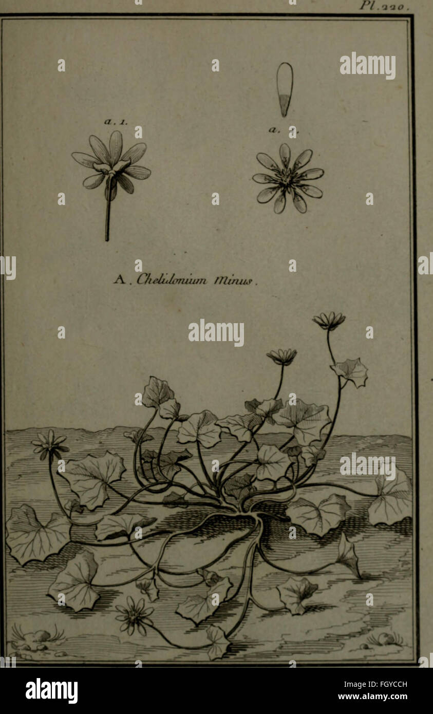 Les sept plantes hi-res stock photography and images - Alamy