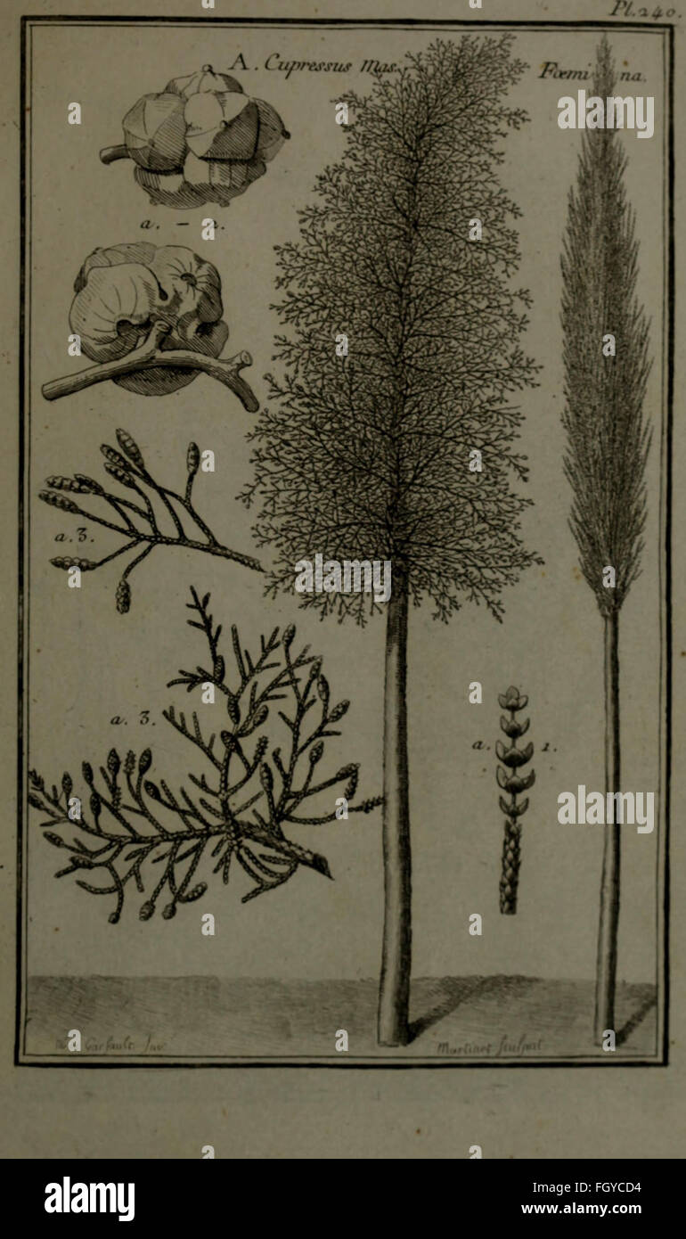 This work offers descriptions of 719 plants, both native and foreign ...