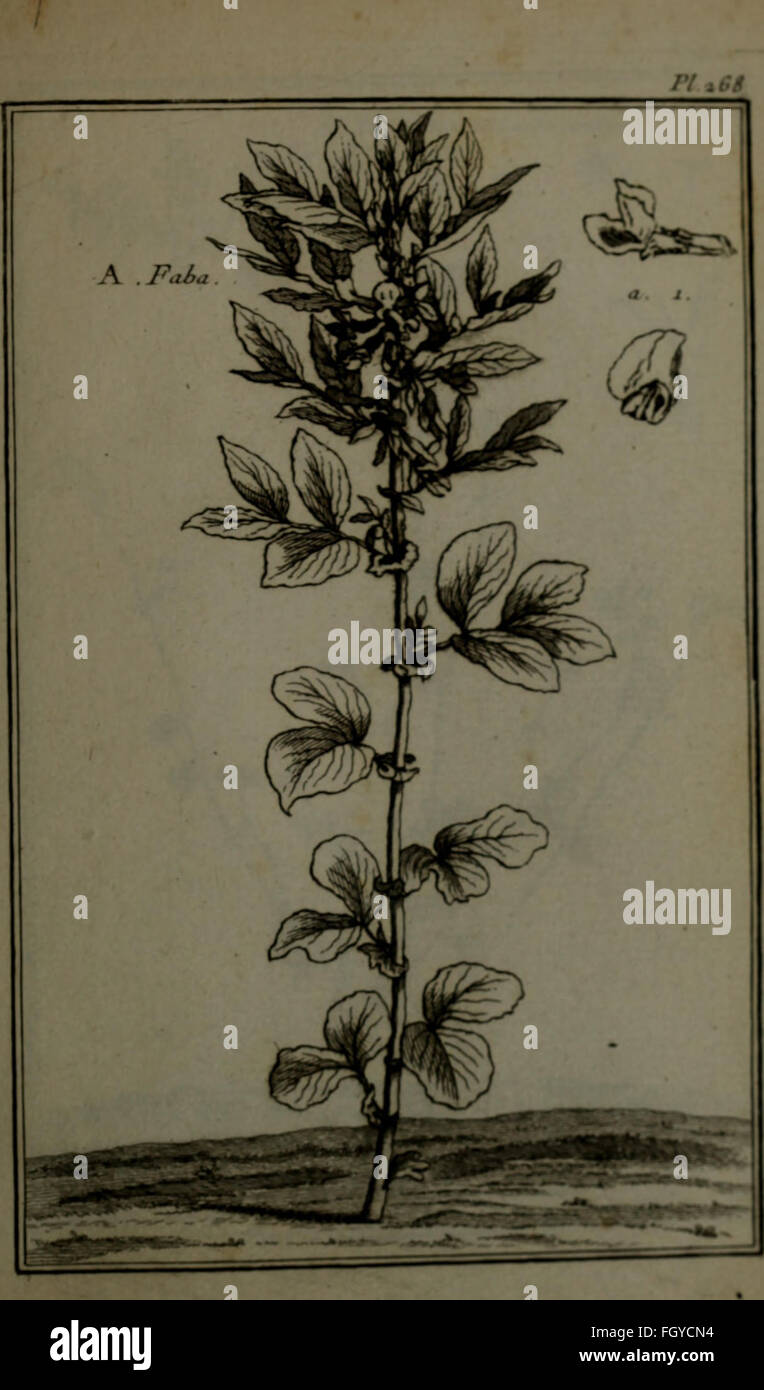 Trente sept hi-res stock photography and images - Alamy