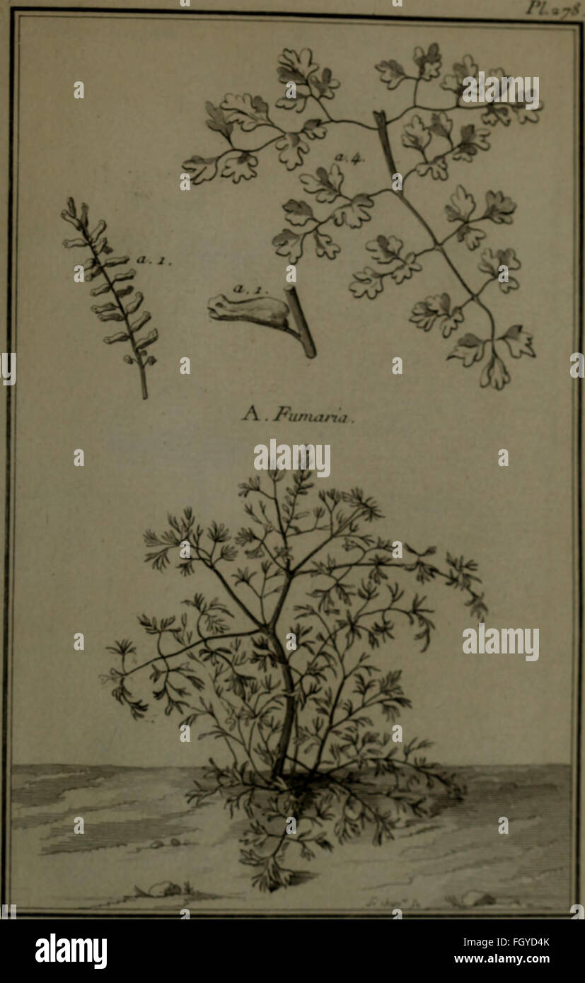 This 19th-century work provides detailed descriptions of 719 plants ...
