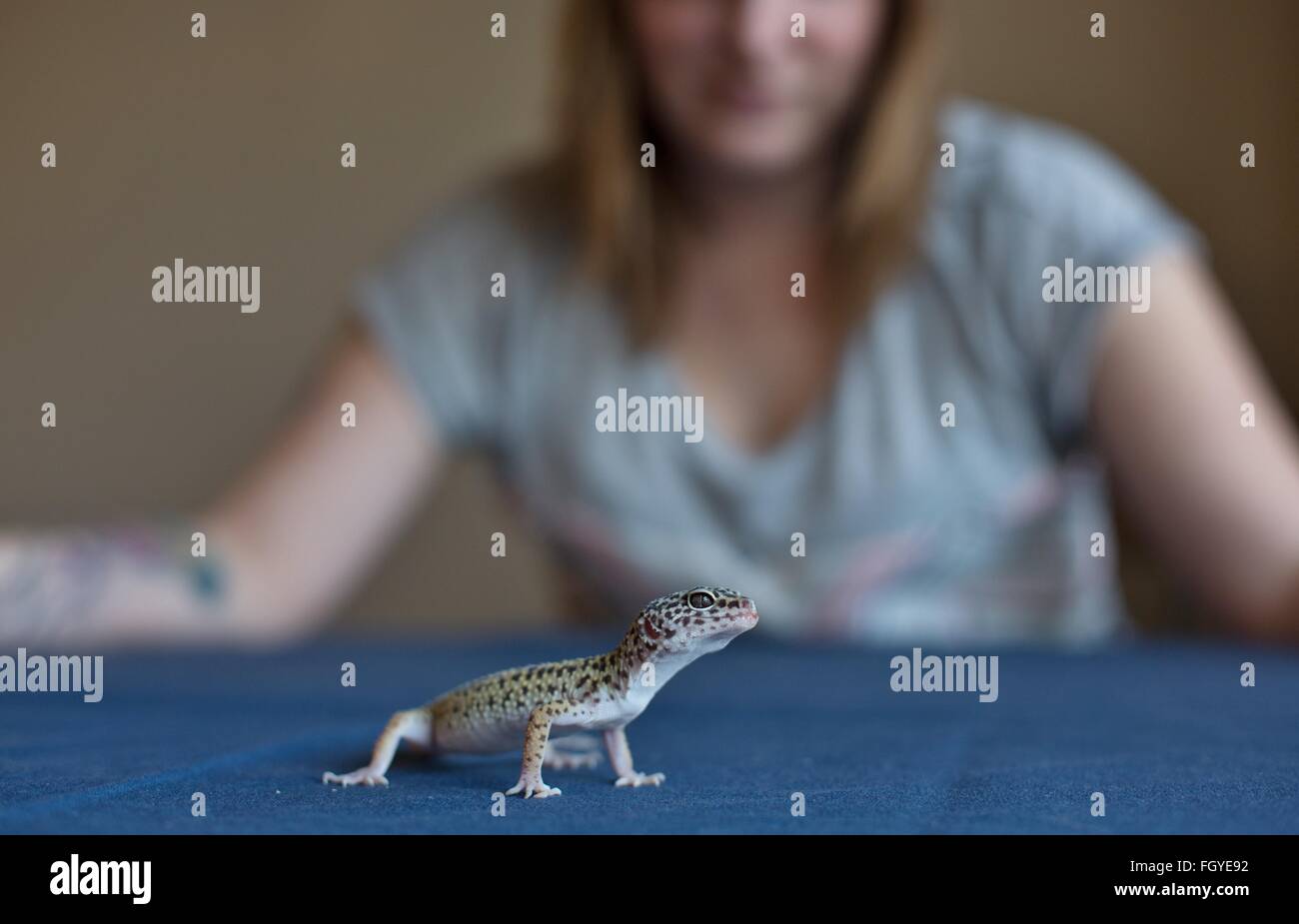 A woman looking at a gecko on a table Stock Photo - Alamy