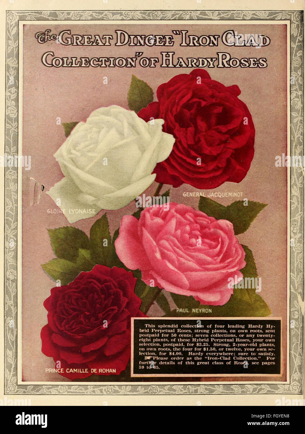 Catalogs dingee conard co hi-res stock photography and images - Alamy