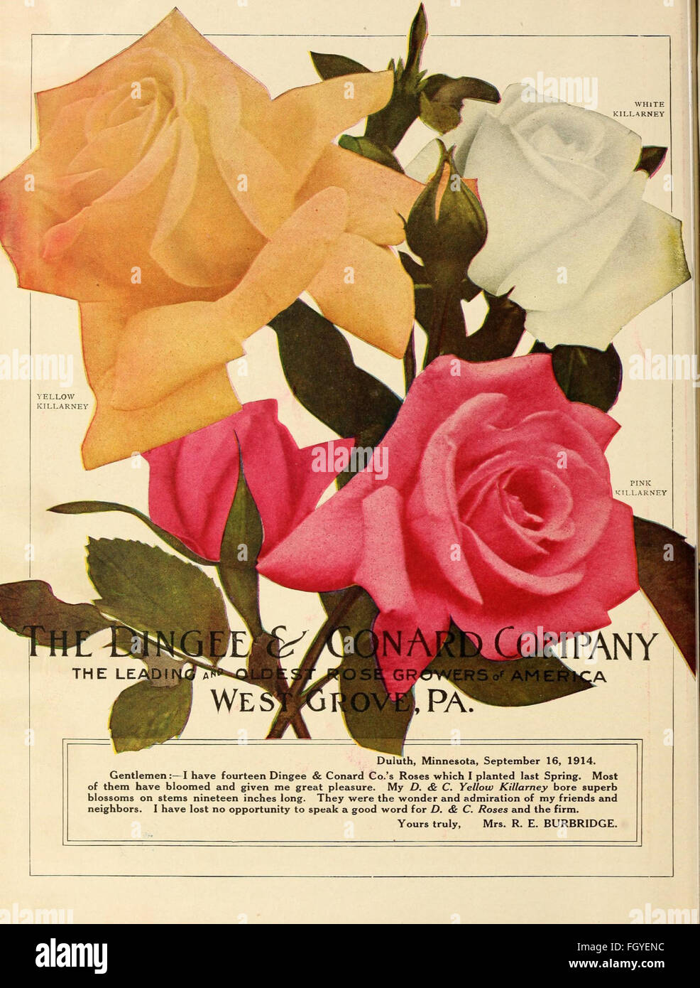 Trade catalogs dingee conard co hi-res stock photography and images - Alamy