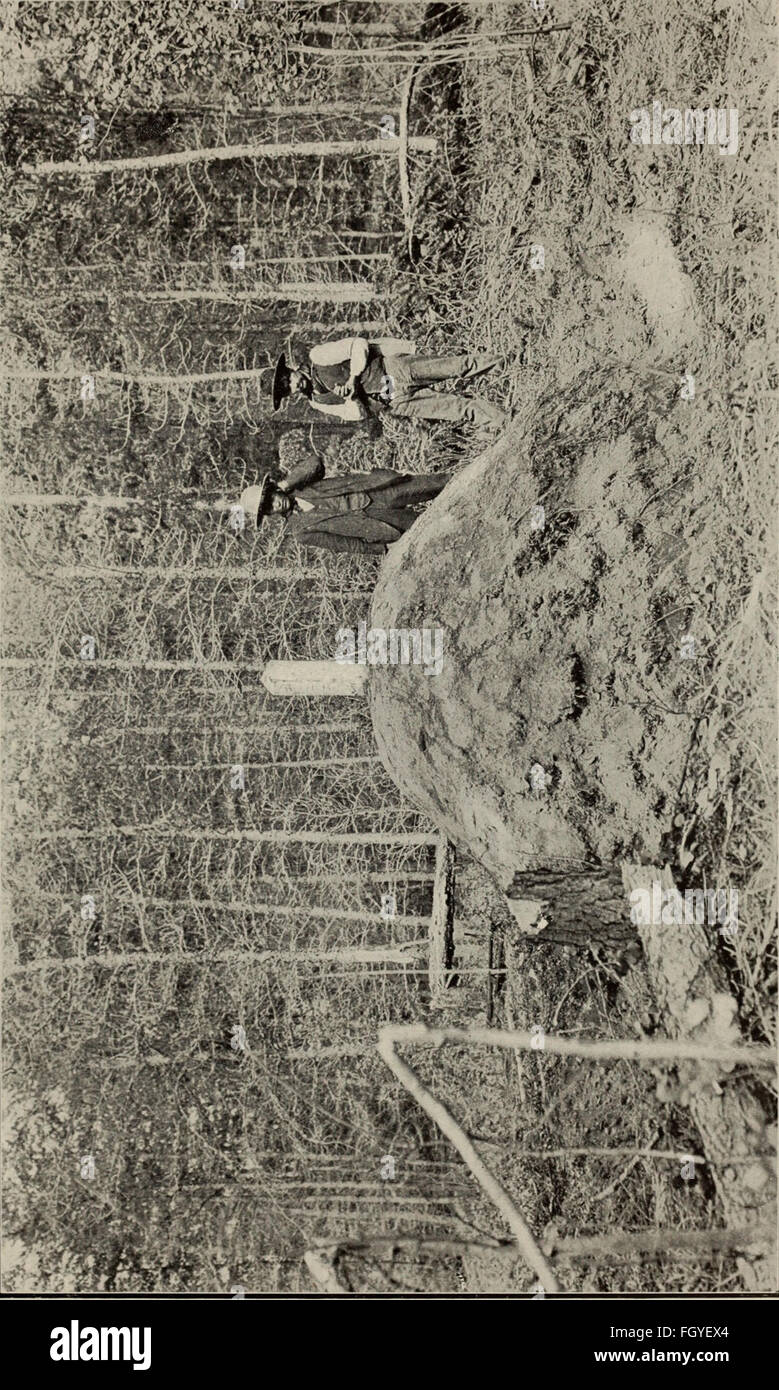 These documents from the 1912 Canadian Session detail legislative and ...