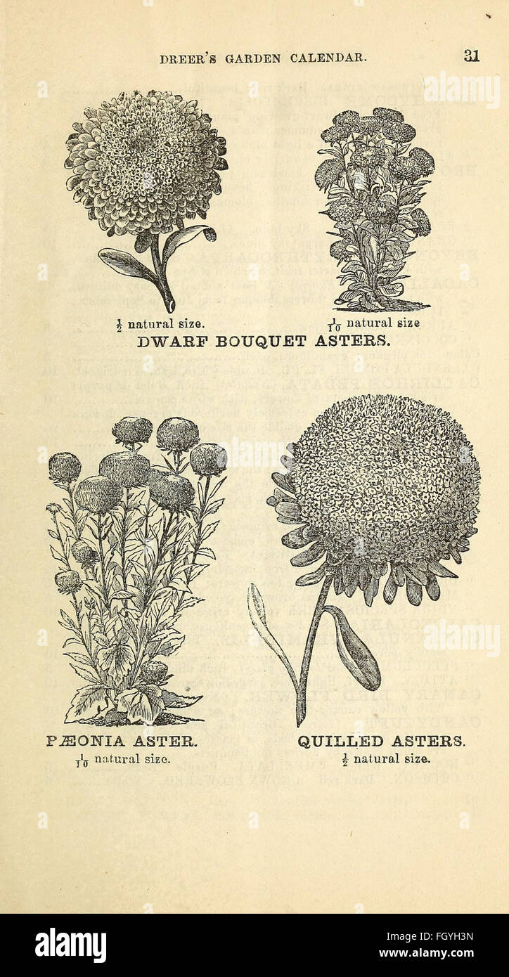 Dreer's garden calendar 1867 Stock Photo - Alamy