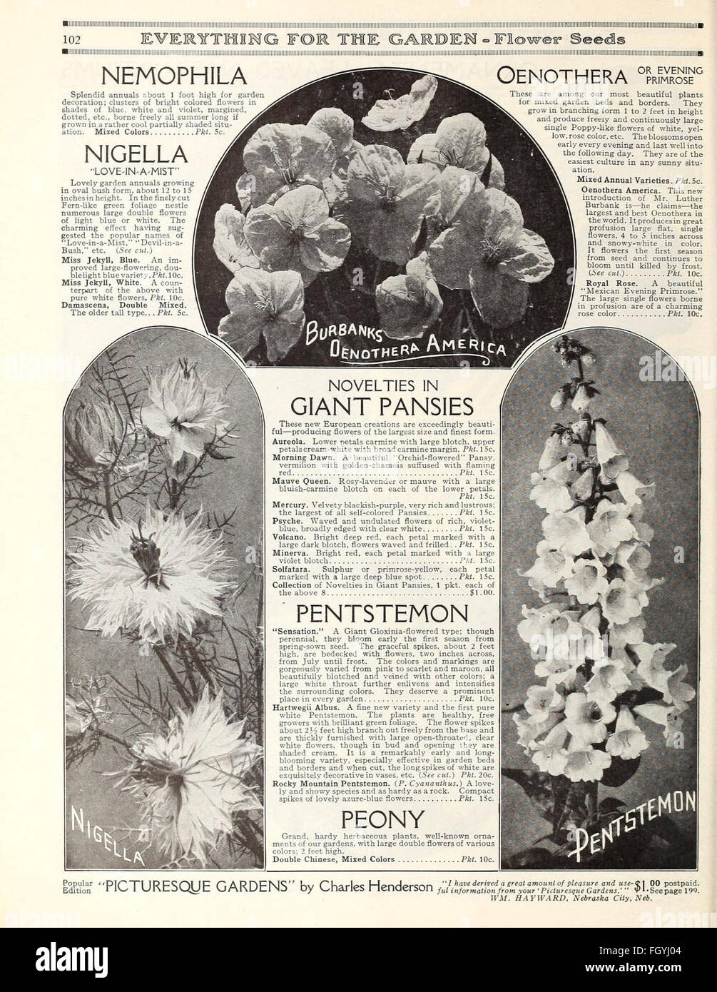 This comprehensive gardening guide offers a wide range of tools, tips ...