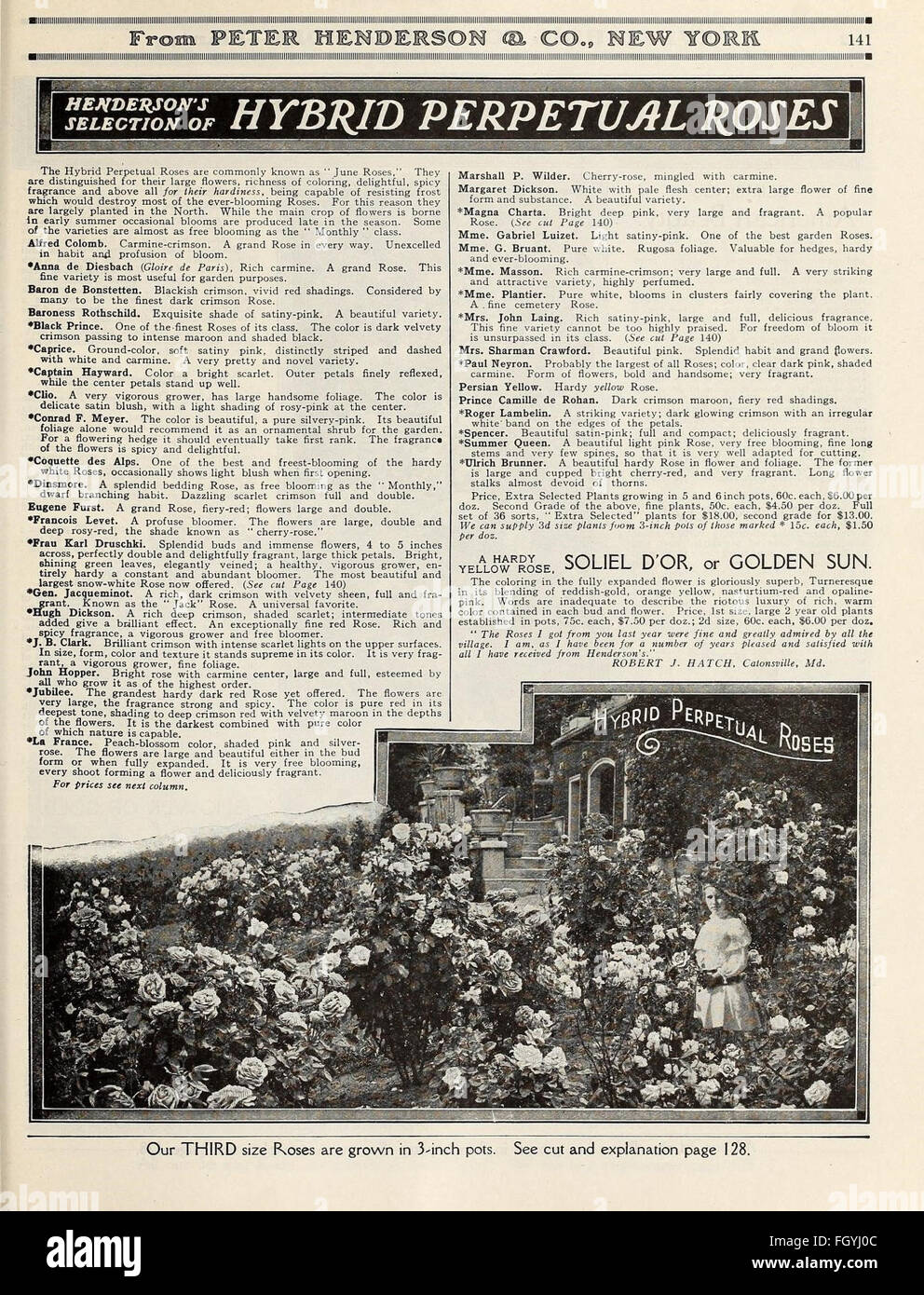 A comprehensive guide to all things related to gardening, offering ...