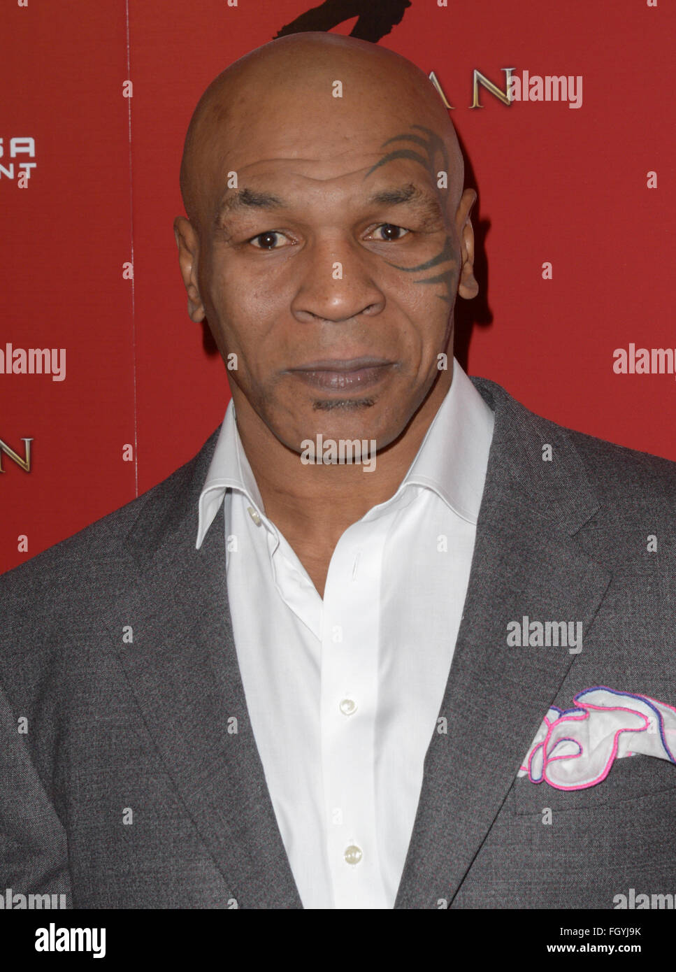 Los Angeles premiere of Well Go USA Entertainment's 'IP Man 3' at the ...