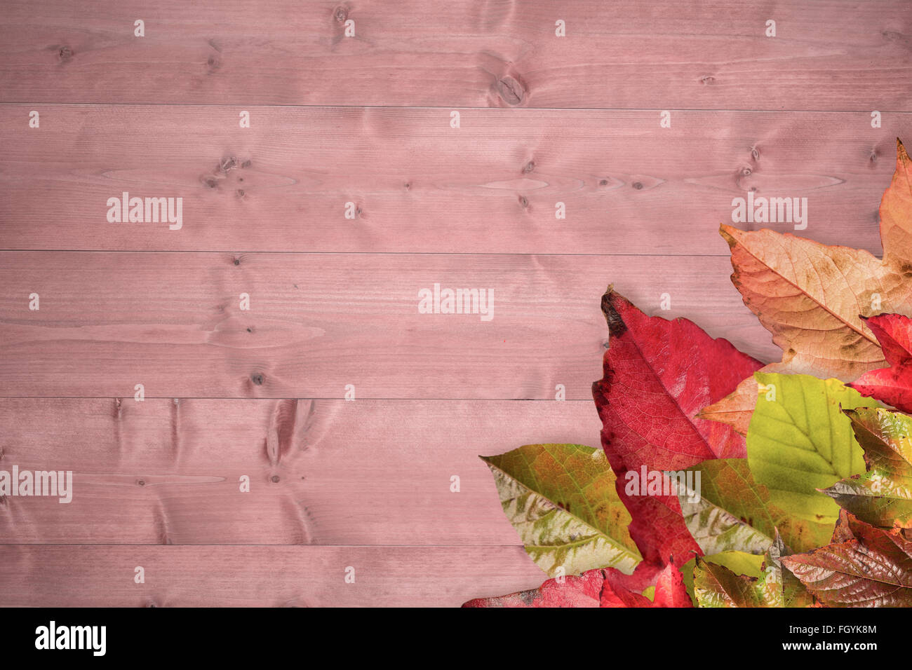 Composite image of autumn leaves pattern Stock Photo - Alamy