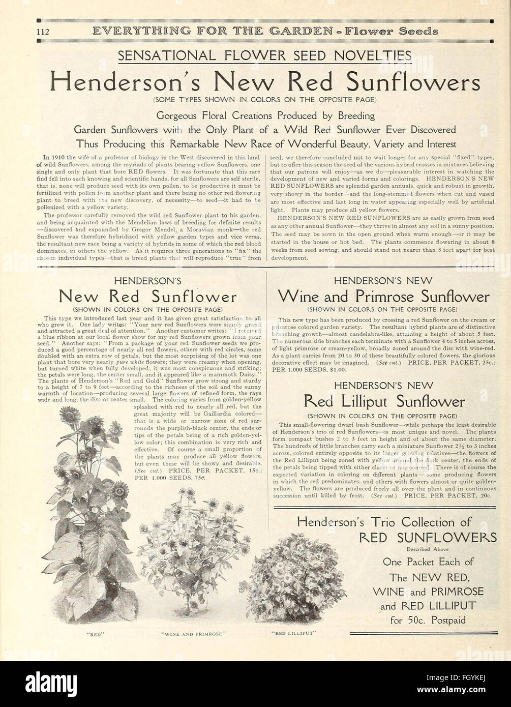 This practical gardening guide covers all aspects of garden care, from ...