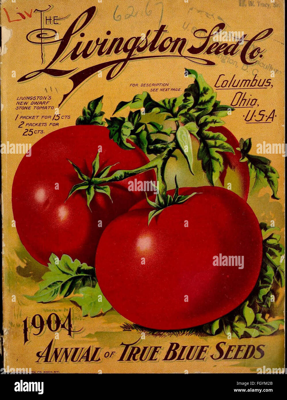 True blue seeds columbus hi-res stock photography and images - Alamy