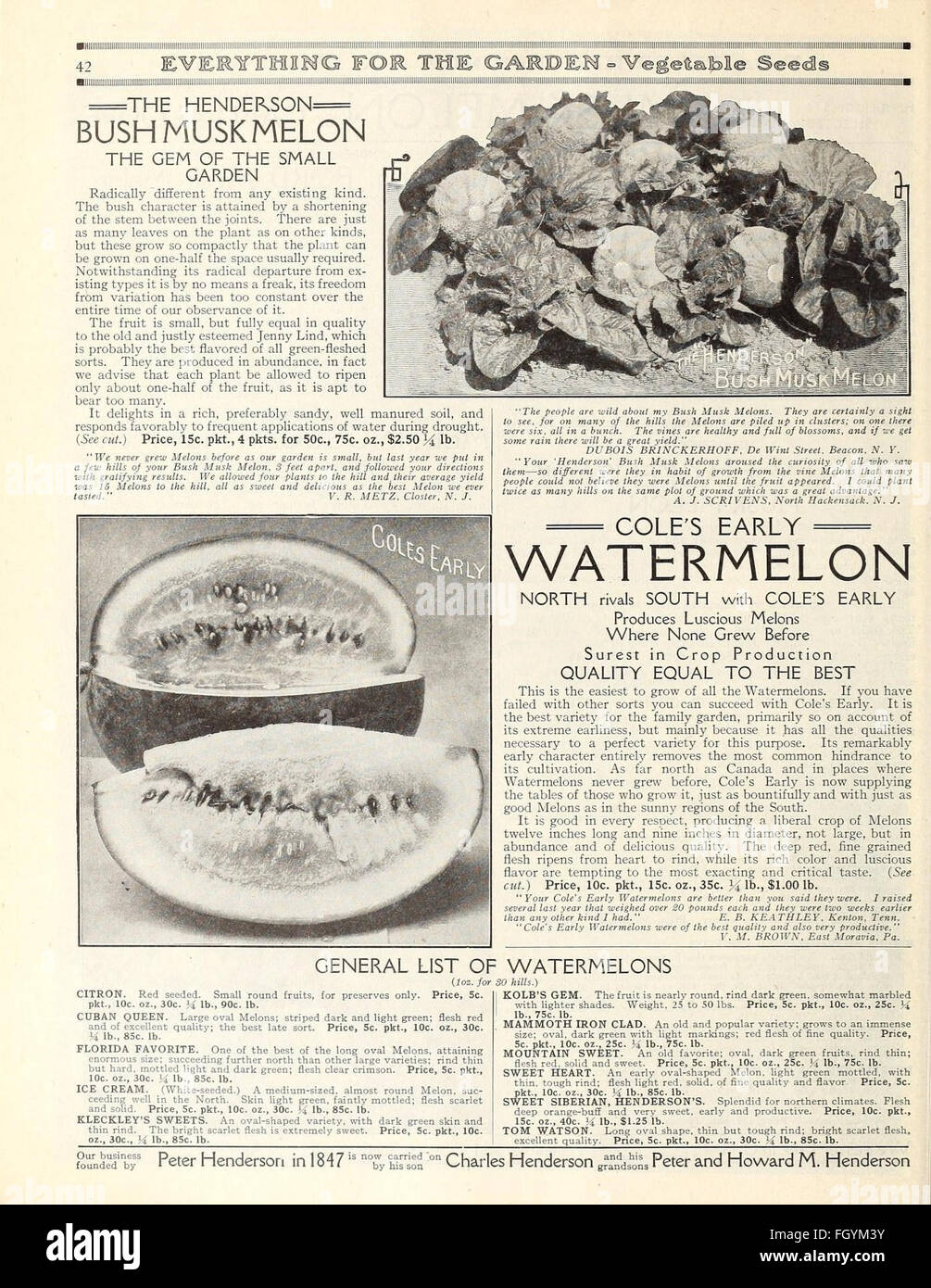 Novice planning hi-res stock photography and images - Alamy