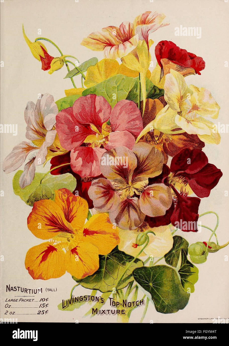 True blue seeds columbus hi-res stock photography and images - Alamy