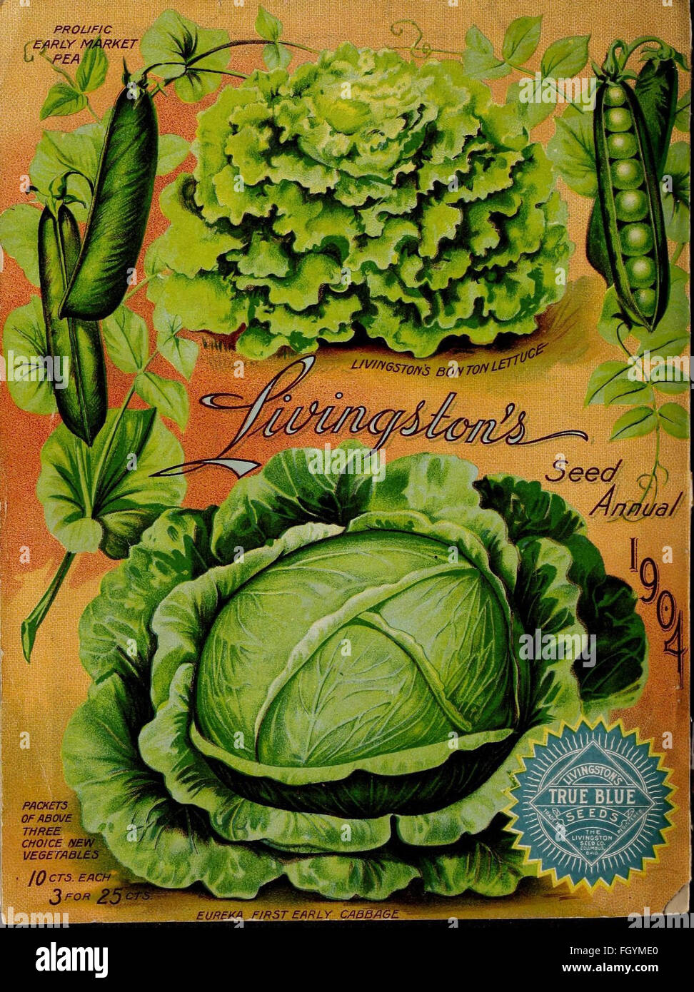 Annual of true blue seeds Stock Photo - Alamy