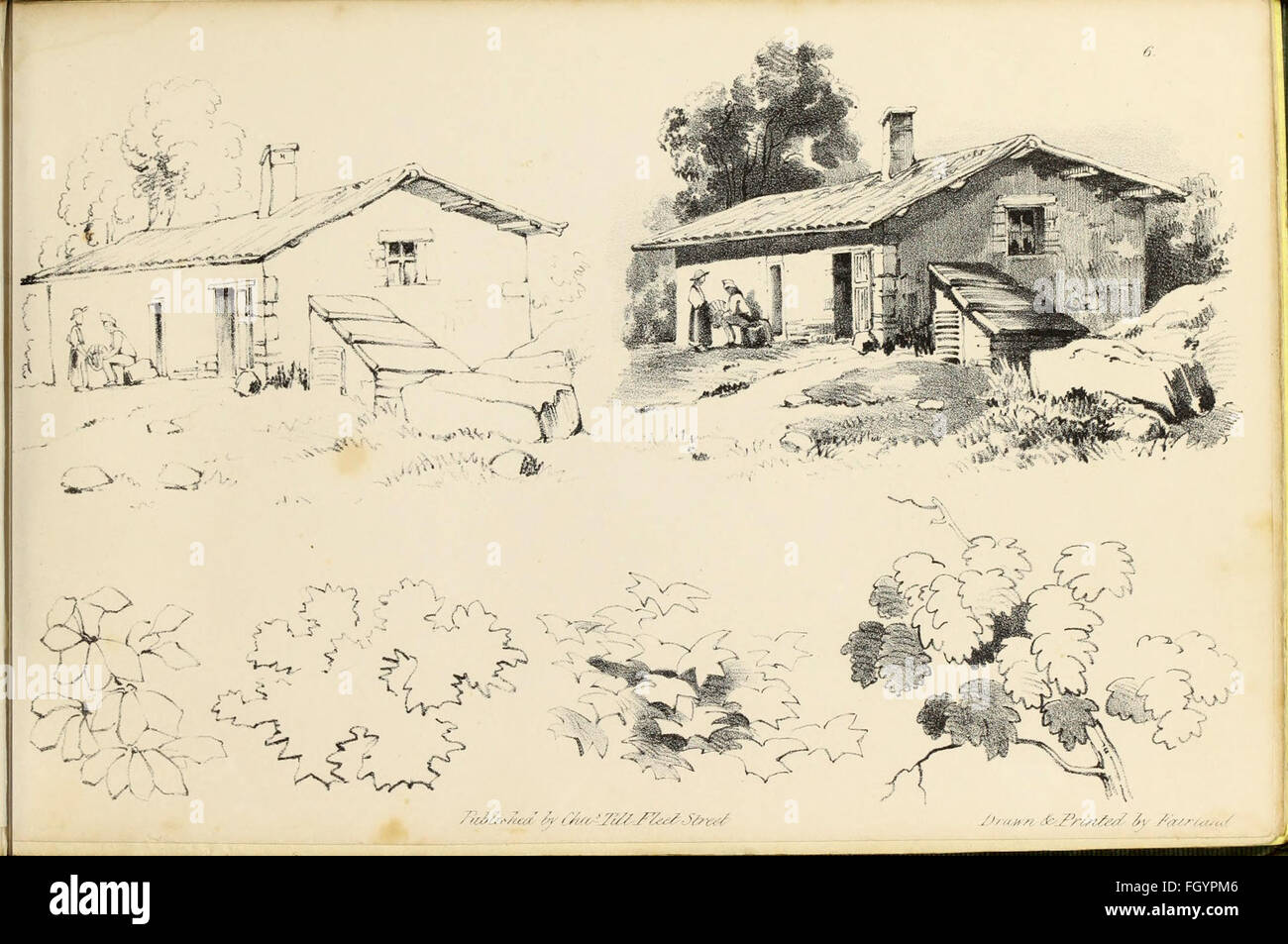 'Fairland's Juvenile Artist' provides simple drawing lessons for ...