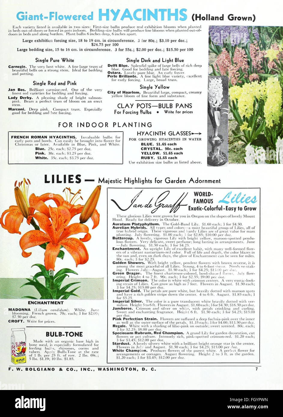 The Fall 1966 edition features a collection of notable events, cultural ...