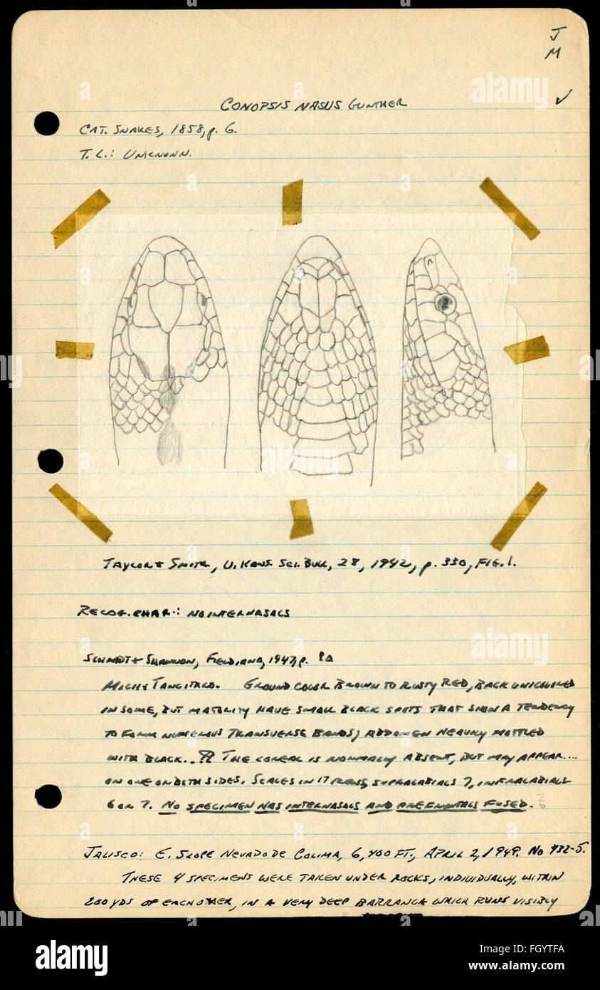 This collection of field notes provides observations on the geography ...