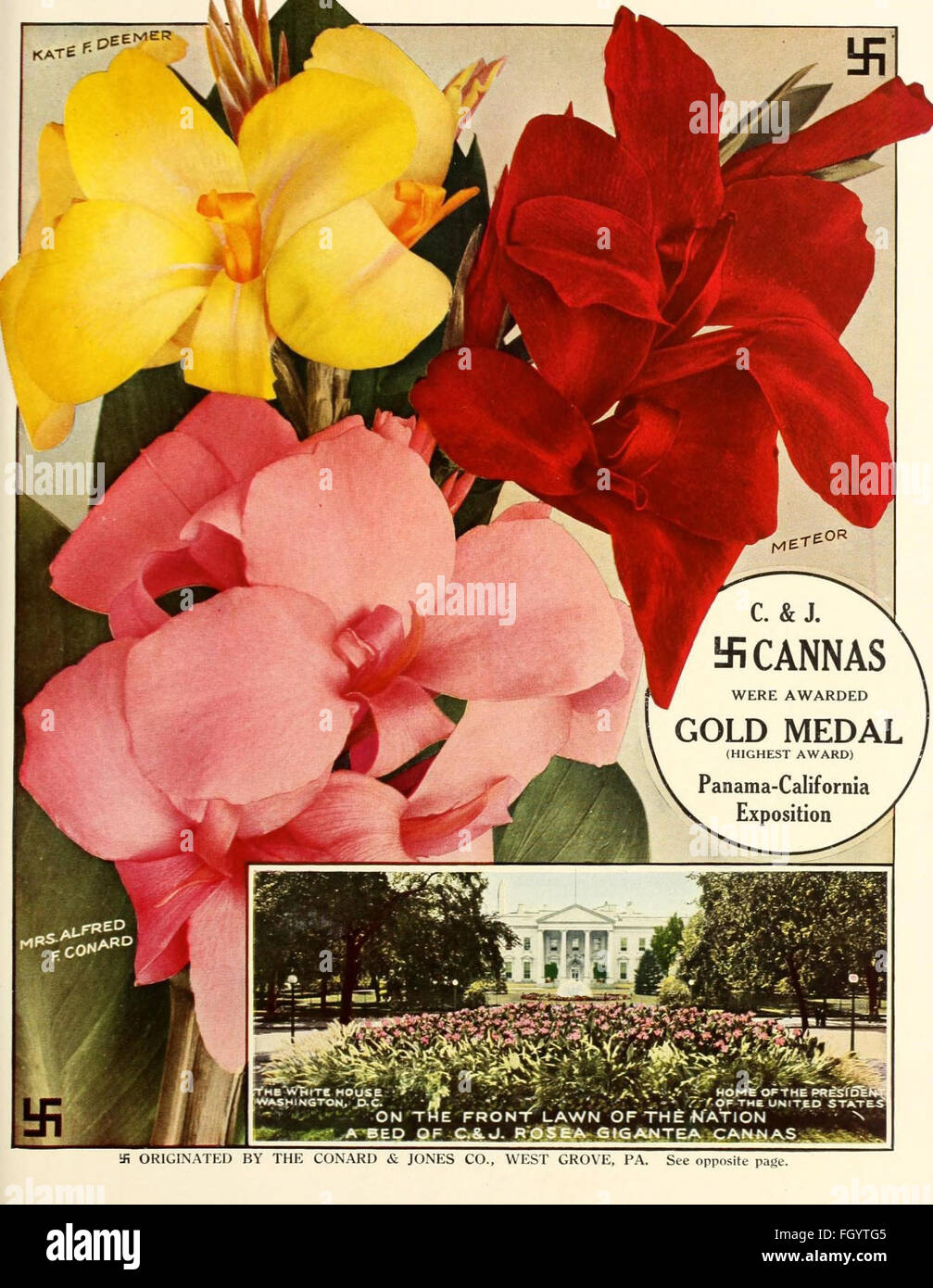 Floral guide hi-res stock photography and images - Alamy