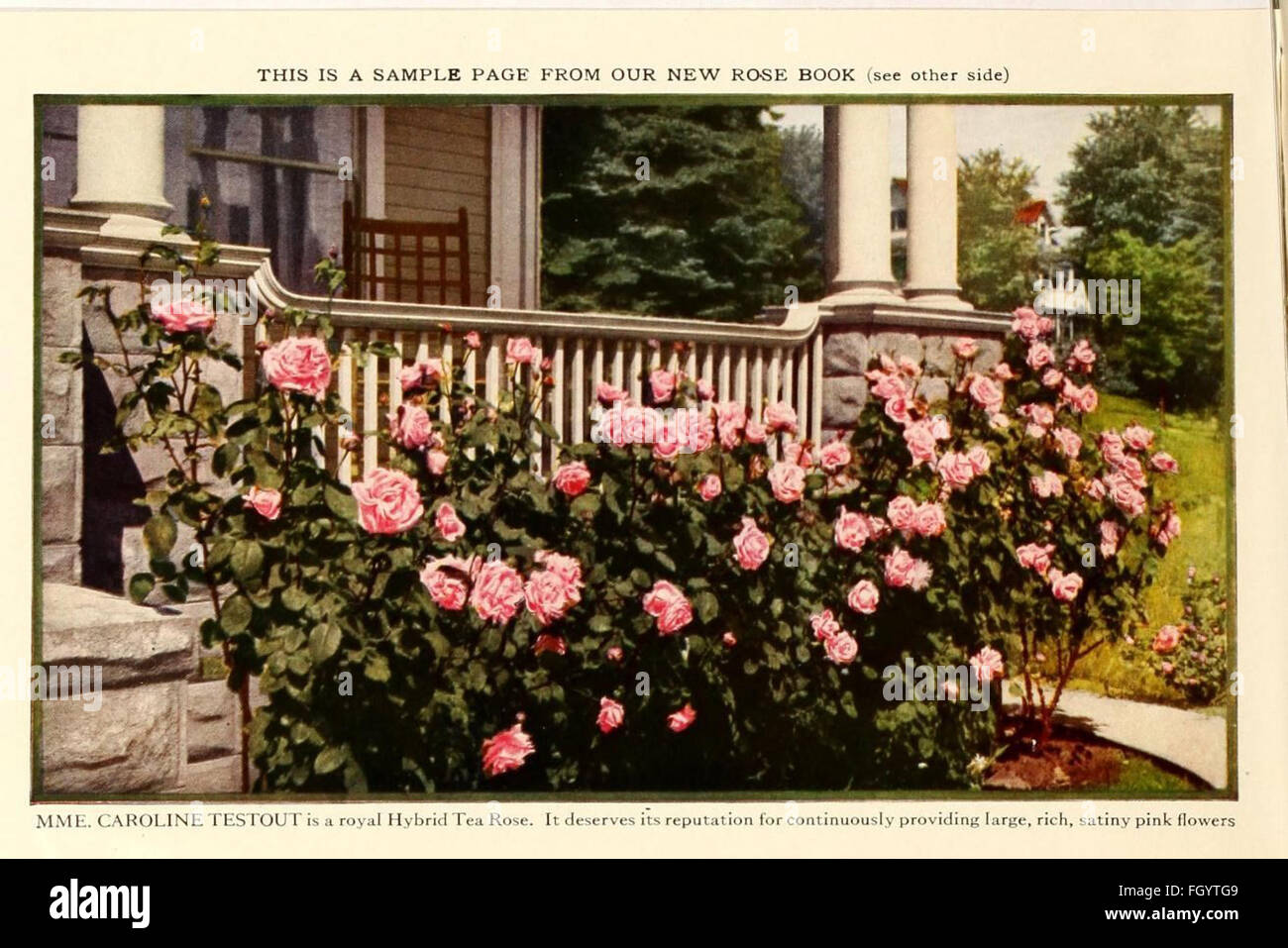 Floral guide hi-res stock photography and images - Alamy