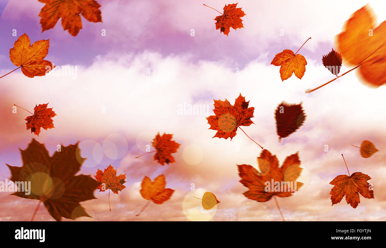 Composite image of autumn leaves pattern Stock Photo - Alamy