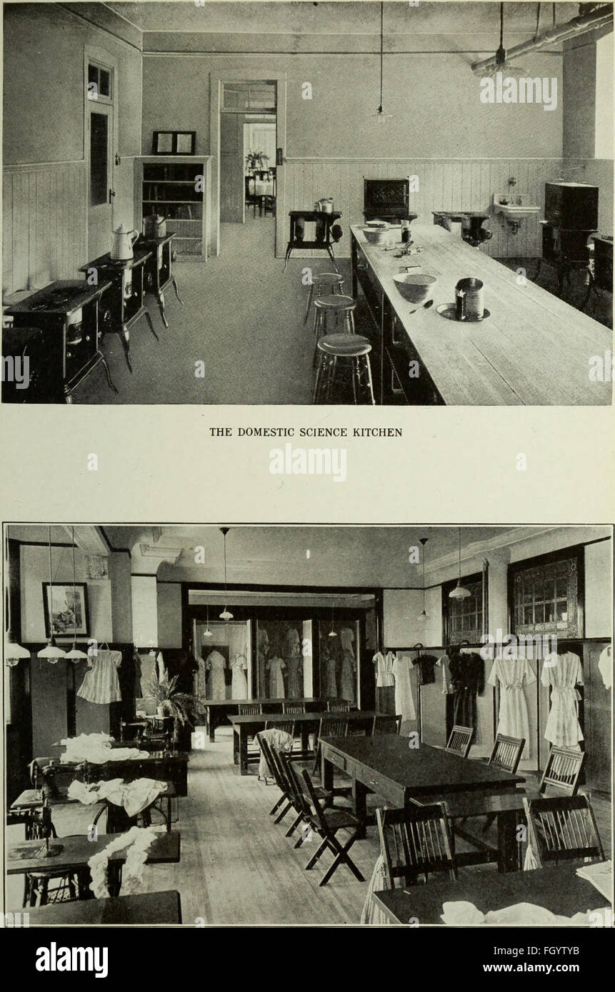 The 'Annual Year-Book (1917)' serves as a record of important events ...