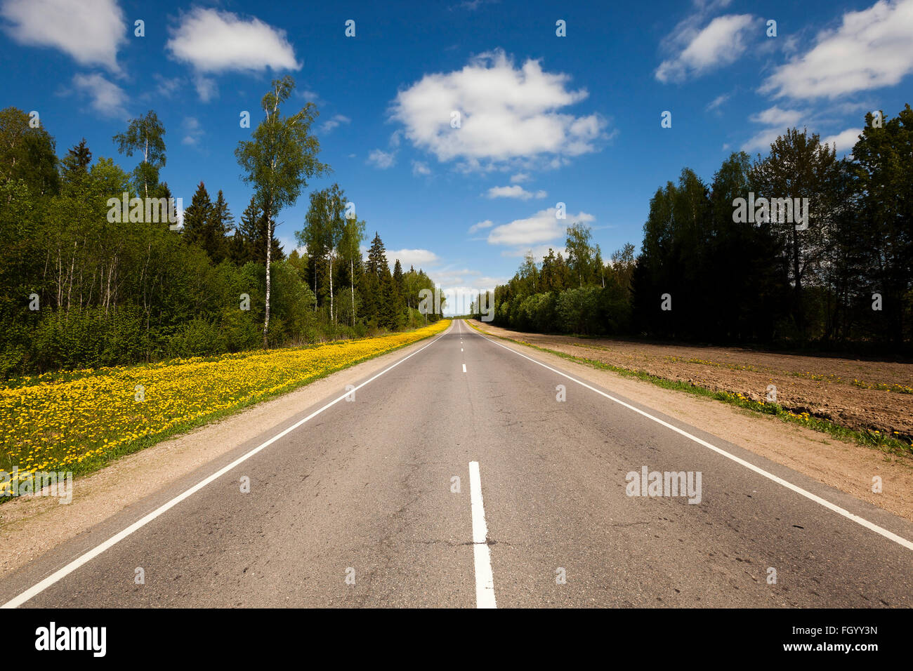 asphalt road , spring Stock Photo - Alamy