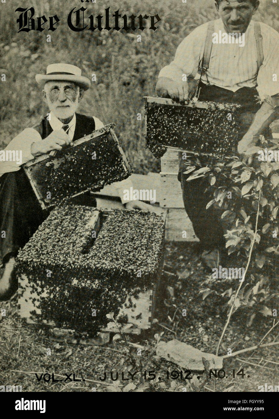 This 1912 work explores beekeeping practices, including hive management ...