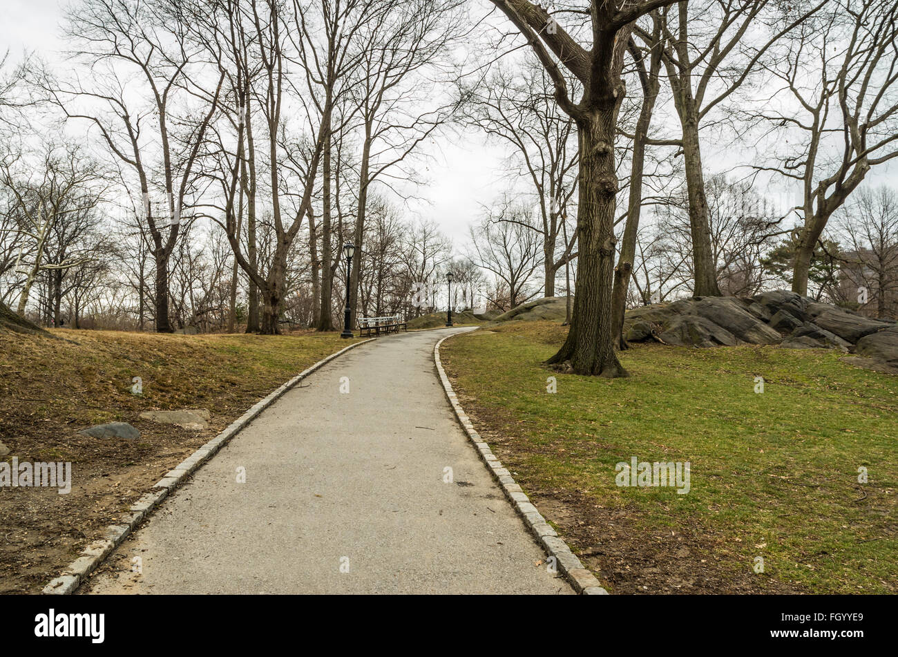 Winding footpath in Central Park, New York, with trees, lamp posts, and ...