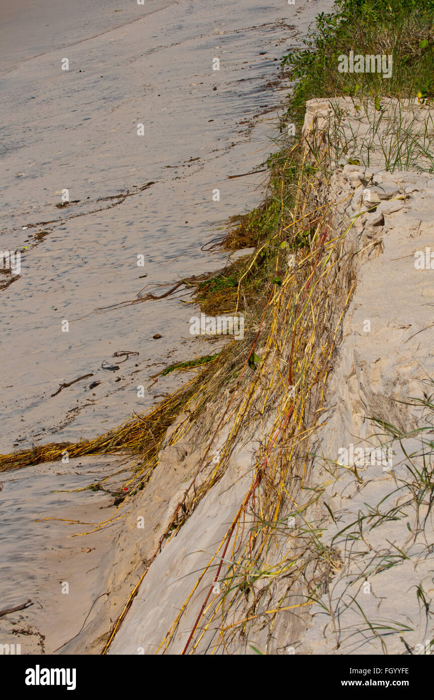 Beach, beach erosion, sand, damage, sand dunes, dunes Stock Photo - Alamy