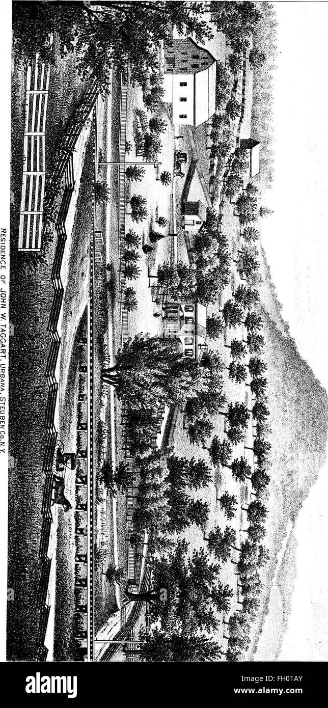 This book provides a detailed history of Steuben County, New York, with ...