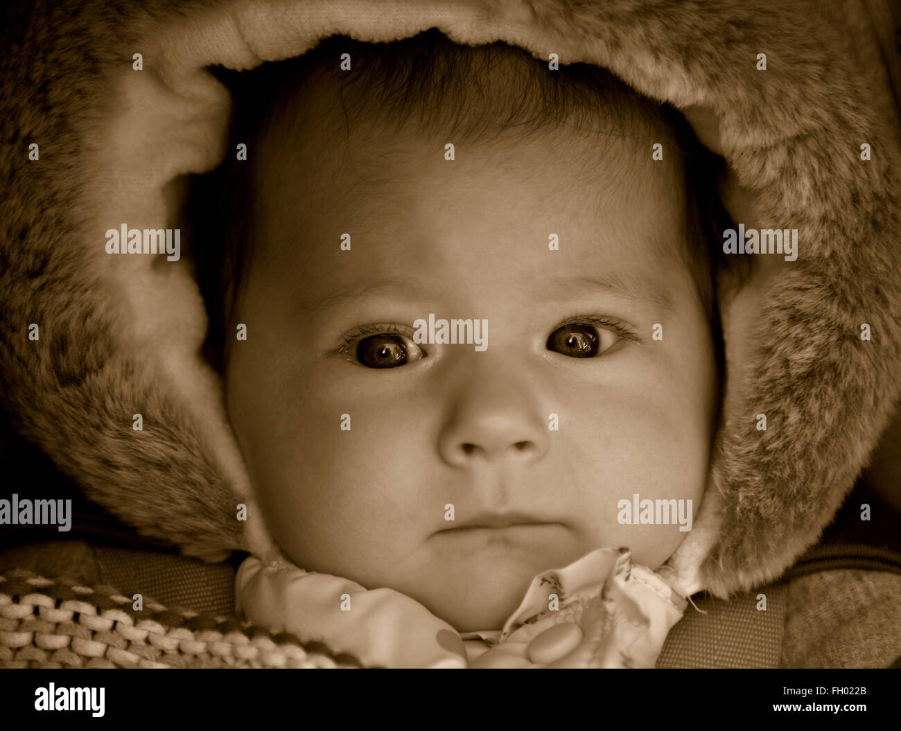 Baby winter close hi-res stock photography and images - Alamy