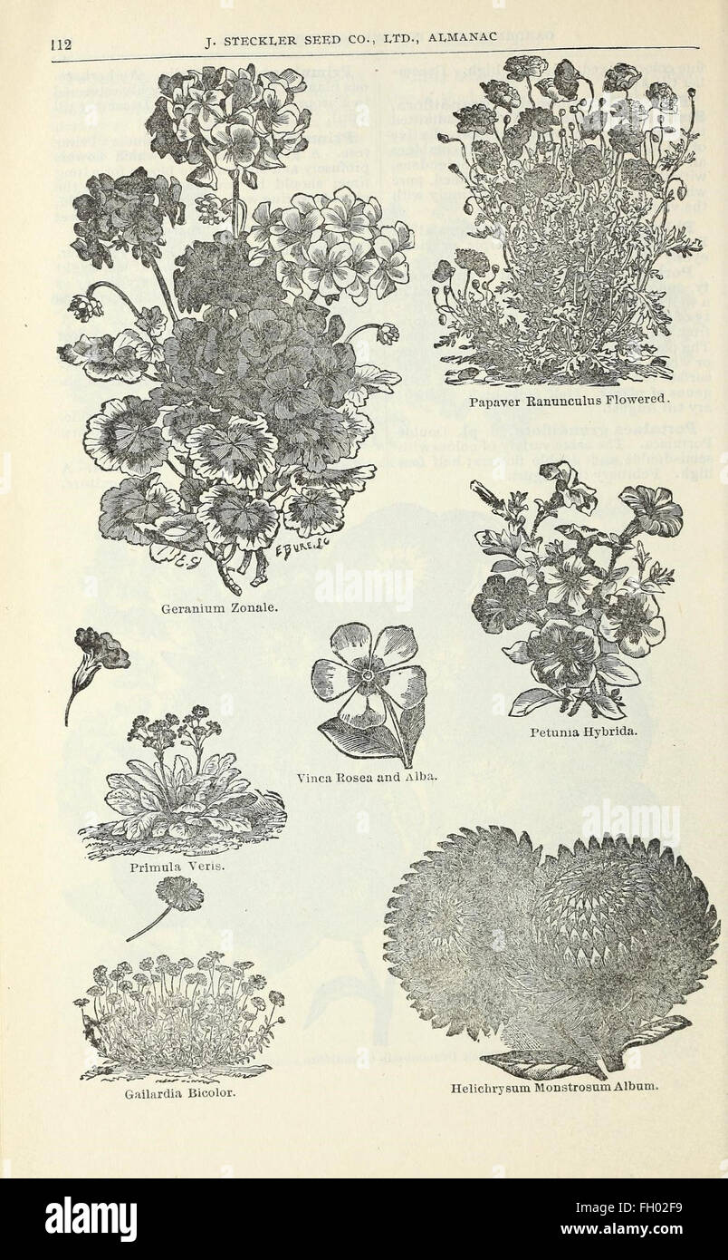 The 'J. Steckler Seed Co., Ltd. Garden Manual' (1900) provides ...